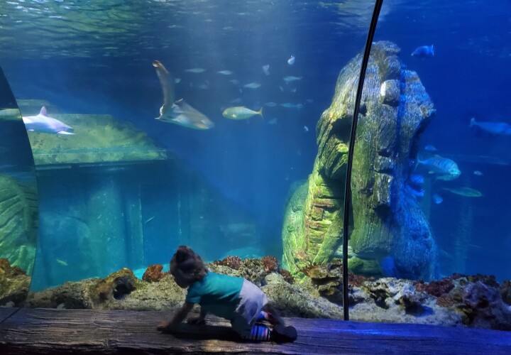 SEA LIFE München München - FamiZeit.de